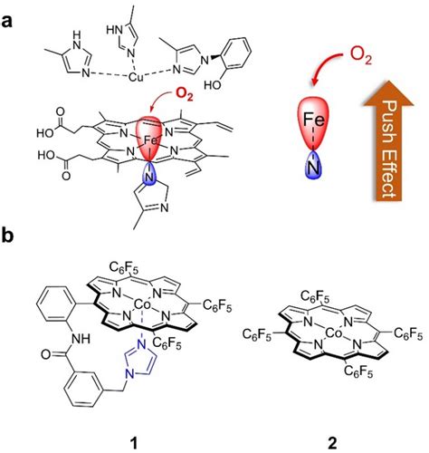 A Cobaltii Porphyrin With A Tethered Imidaz Eurekalert