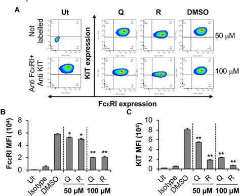 Pdf Quercetin And Resveratrol Differentially Decrease Expression Of