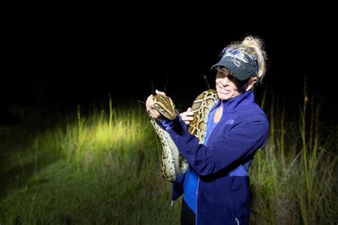 'Python Huntress' takes on invasive snakes in the Everglades | The Straits Times