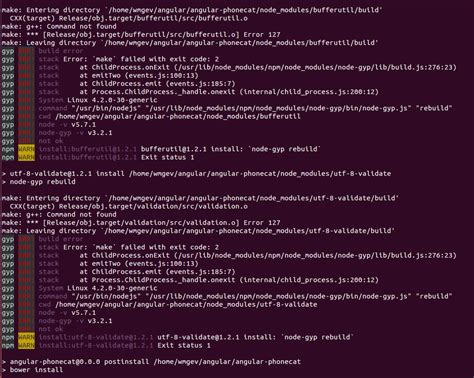 javascript Ошибка при установке приложения angular phonecat stack