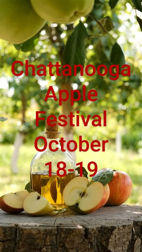 Sassy Grasshopper Sassygrasshopper • Instagram Photos And Videos