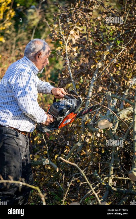 Figure Of A Man Cutting Trees And Bushes With A Petrol Chainsaw To Clear A Country Yard Stock