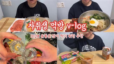 자취생 먹방 Vlog 12 스트레스에는 맛있는거 연어서브웨이 비빔밥제육볶음 과자 폭식 홈런볼수입과자두유 술