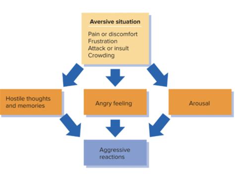 Chapter 10 Aggression Flashcards Quizlet