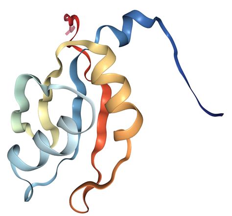 Hnrnp R General Information Sino Biological