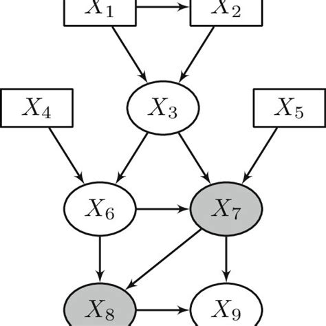 example representing the structure of an hspbn discrete variable nodes