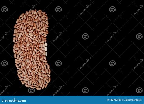 A Lot Of Beige Beans On A Black Background Stock Image Image Of Copy Seed 102707809