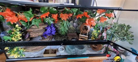 New enclosure advice : r/leopardgeckos