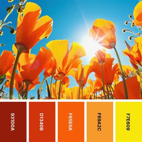 30 Warm Color Palettes For Cozy Designs Color Meanings