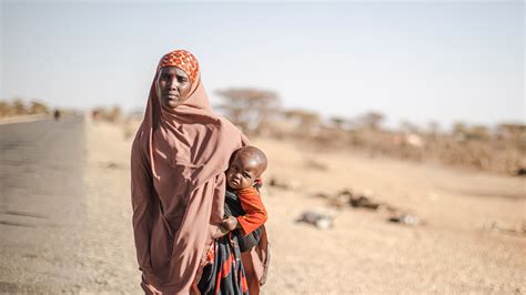 Unhcr Dataviz Platform Find Inspiration For Data Storytelling