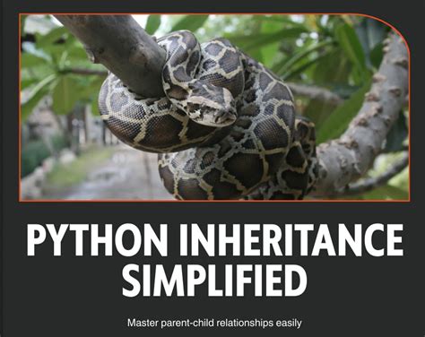 Simplified Pythons Reference Handling Understanding Object