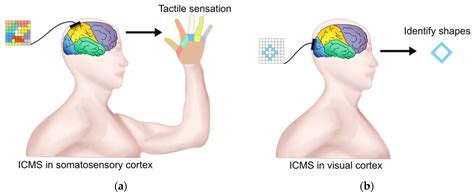 Modulating Brain Activity With Invasive Brain Computer Interface A