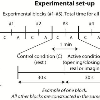 Various External Aids For Sexual Recovery In The Face Of ED A An Download Scientific Diagram