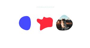 SVG Blob Using Tailwind UI