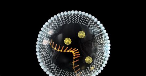 Fernando Gomollón Bel On Linkedin Self Assembling Rna Strands ‘tamed
