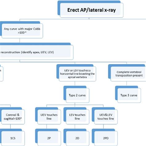 Classification Algorithm Used To Classify Curve Types In This Study Download Scientific Diagram