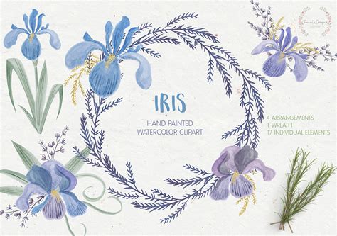 Iris Flower Sticker For Jewelry Etsy