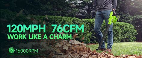 Leaf Blower Cordless With 2 Batteries And Charger 20v