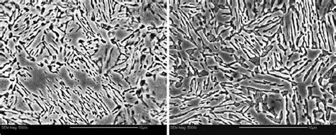 Microstructures Samples With Non Deformed Initial Structure Revealed