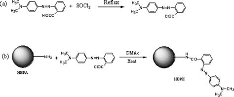 Scheme 2 End Capping Reaction Of Methyl Red With Hyperbranched Polyamine Download Scientific