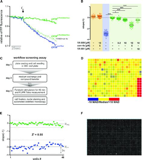 Development Of An Automated Assay For High Throughput Measurement Of
