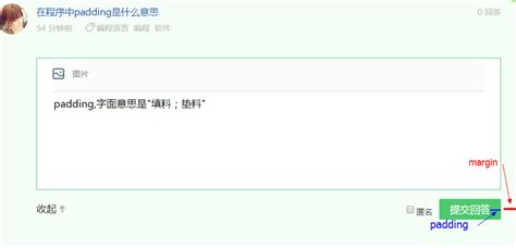 padding是什么意思