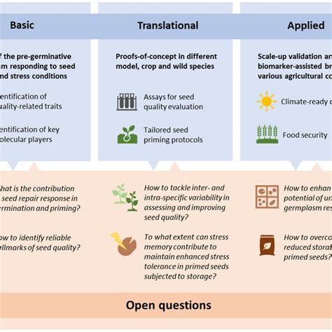 Overview Of The Implications Of Seed Priming Technologies Throughout Download Scientific