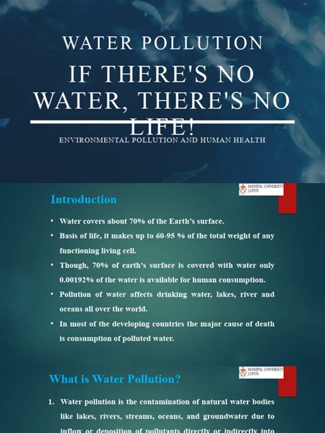 lec water pollution download free pdf water pollution eutrophication