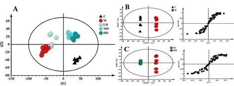 multivariate analysis based on the uplc ms profiling data in positive