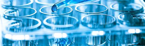 Study Biology To Work In Immunoassay Development Home Room Edu