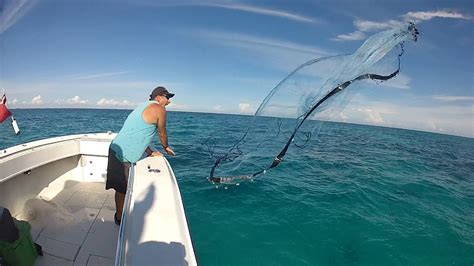 How Do Shrimp Nets Work At Angela Rich Blog