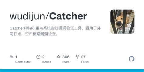 Github Wudijun Catcher Catcher 捕手 重点系统指纹漏洞验证工具，适用于外网打点，资产梳理漏洞检查。