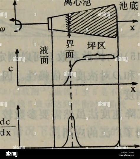 This Chinese Work Covers Basic Botany Concepts Focusing On Plant Identification And