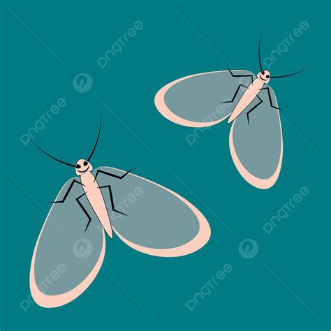 Happy Moth Couple On Valentines Day Square Background Vector