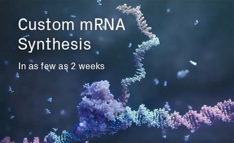 Azenta Life Sciences On Linkedin Custom M Rna Synthesis