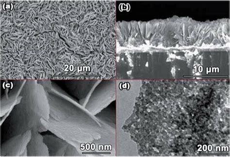 A Zno Nanosheet Arrays Derived From Cbd Method 1 Surface And 2 Download Scientific
