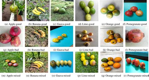 Fruit Quality Assessment With Densely Connected Convolutional Neural Network