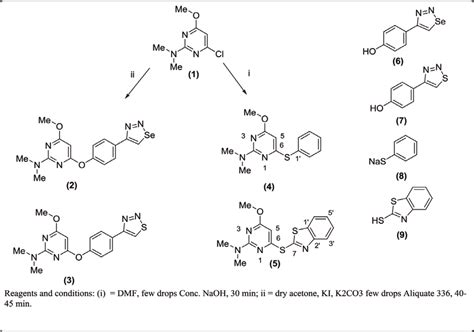 Scheme 1 Schematic Representation Of Synthetic Procedure For Compounds Download Scientific
