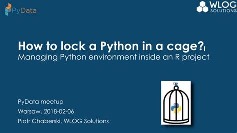 How To Lock A Python In A Cage Managing Python Environment Inside An R