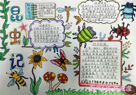 好书推荐手抄报六年级（精选13张）
