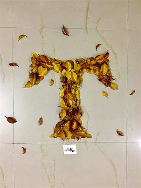 T For Tree On Behance