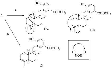 Scheme 2 Synthesis Of Exo Methylene Modified Analogs Reagents And Download Scientific Diagram