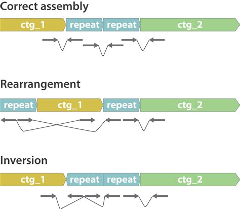 Slides Genome Assembly Quality Control Genome Assembly Quality