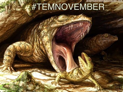 Twoucan Brian Engh Brianenghart