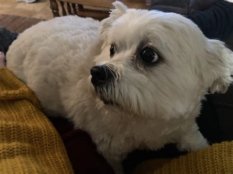 A Present For Mr Dad Rmrtechnodad