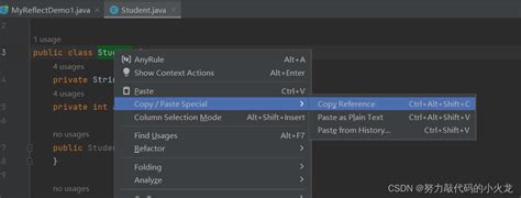 Java中的反射getdeclaredconstructor Csdn博客