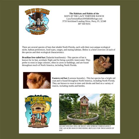Check Out These Lazy Tortoise Ranch Wildlife Refuge Facebook