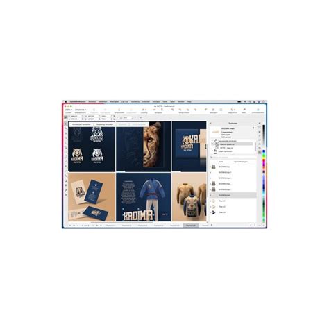 Corel Coreldraw Graphics Suite 2021 Polski Eng Application Software