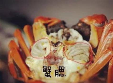 吃螃蟹時 這些部位千萬不能碰 每日頭條