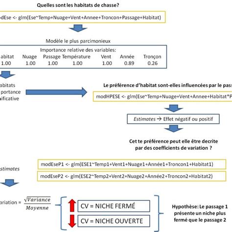 Schéma Des Analyses Statistiques Utilisées Download Scientific Diagram